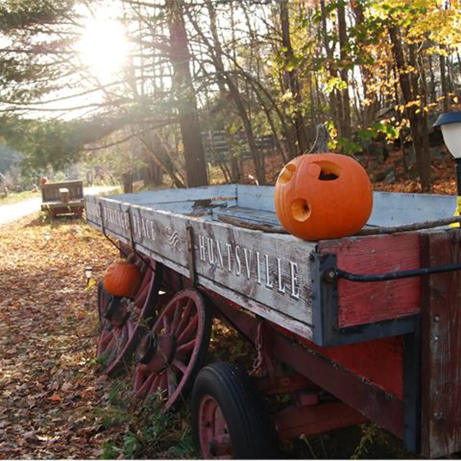 Great Pumpkin Trail | Muskoka Heritage Place